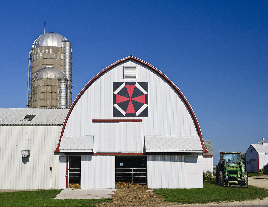 Spider Web Photograph by Betty Eich - Fine Art America