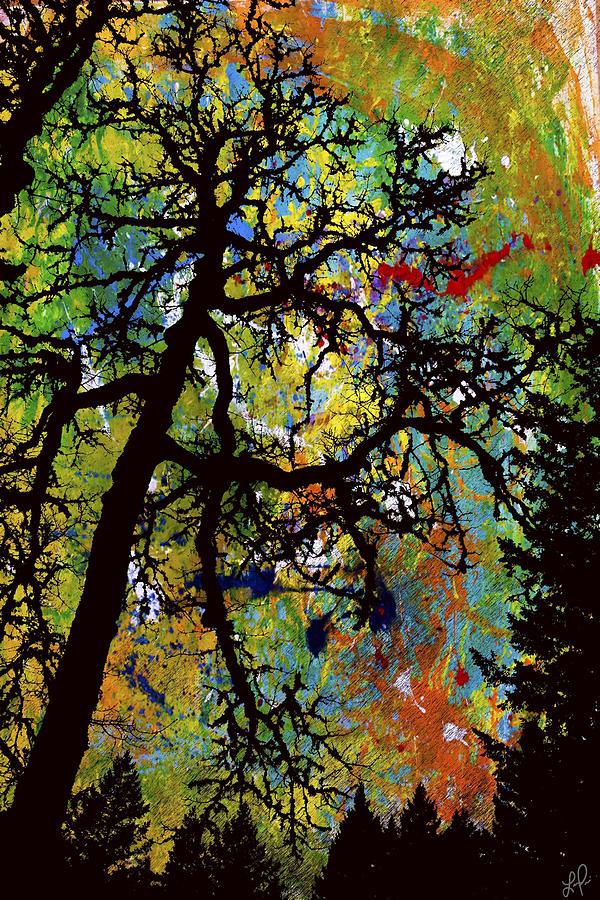 Splatter Tree Photograph by Lauren Pucci