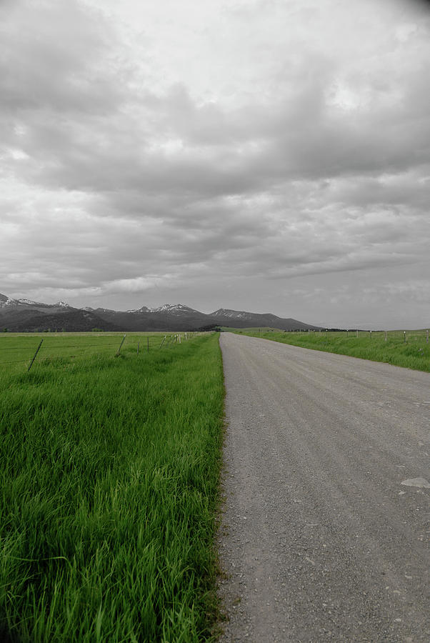 Split Line Photograph by Roderick Bley - Fine Art America