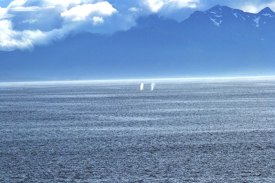 Spouting Off Photograph by Kim Hymes - Fine Art America