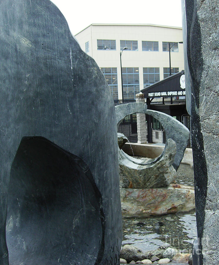 Spouting Photograph by Rob Ladely - Fine Art America