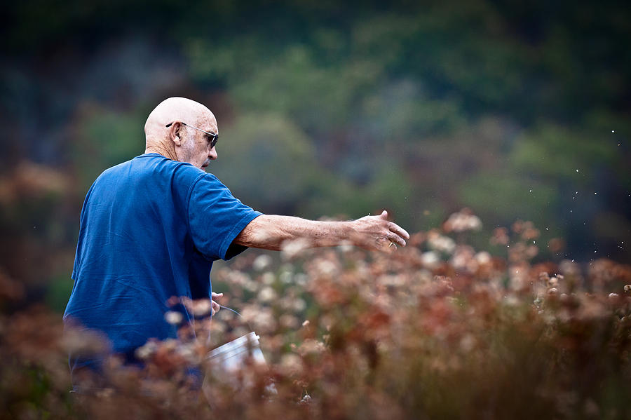 Spreading Seed Photograph by Chris Beveridge - Pixels