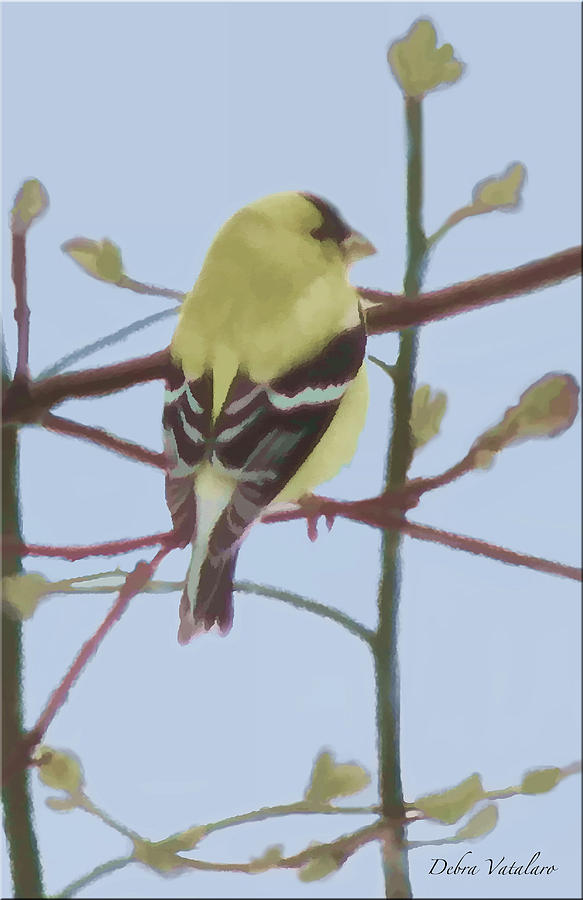 Spring Buds Painting by Debra Vatalaro - Fine Art America