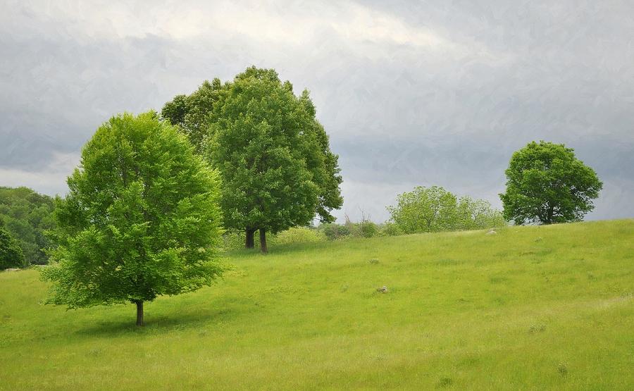Spring Hillside Under Clouds Photograph by Gregory Strong - Fine Art ...