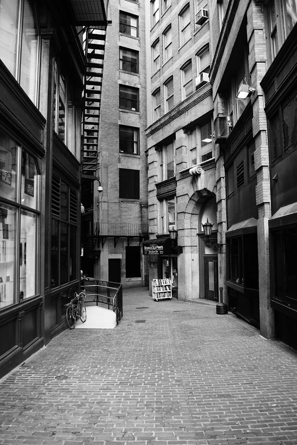 Spring Ln Photograph by Daniel Meacham - Fine Art America