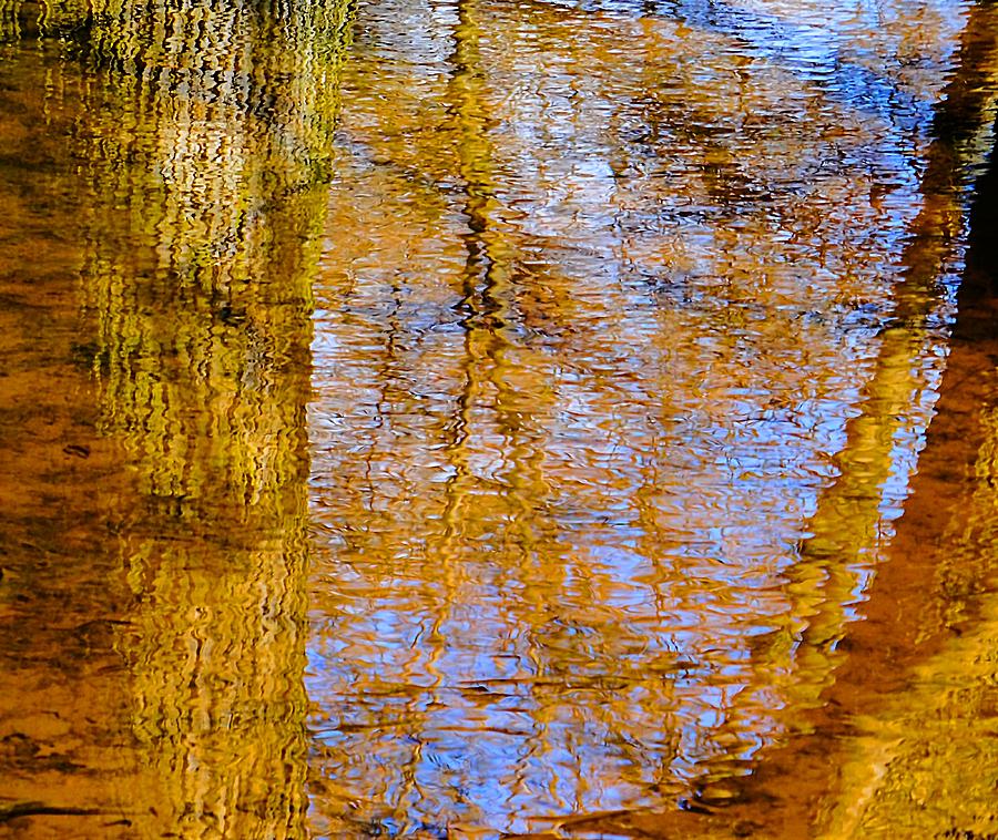 Spring Pond Reflections Photograph by Beth Akerman | Fine Art America