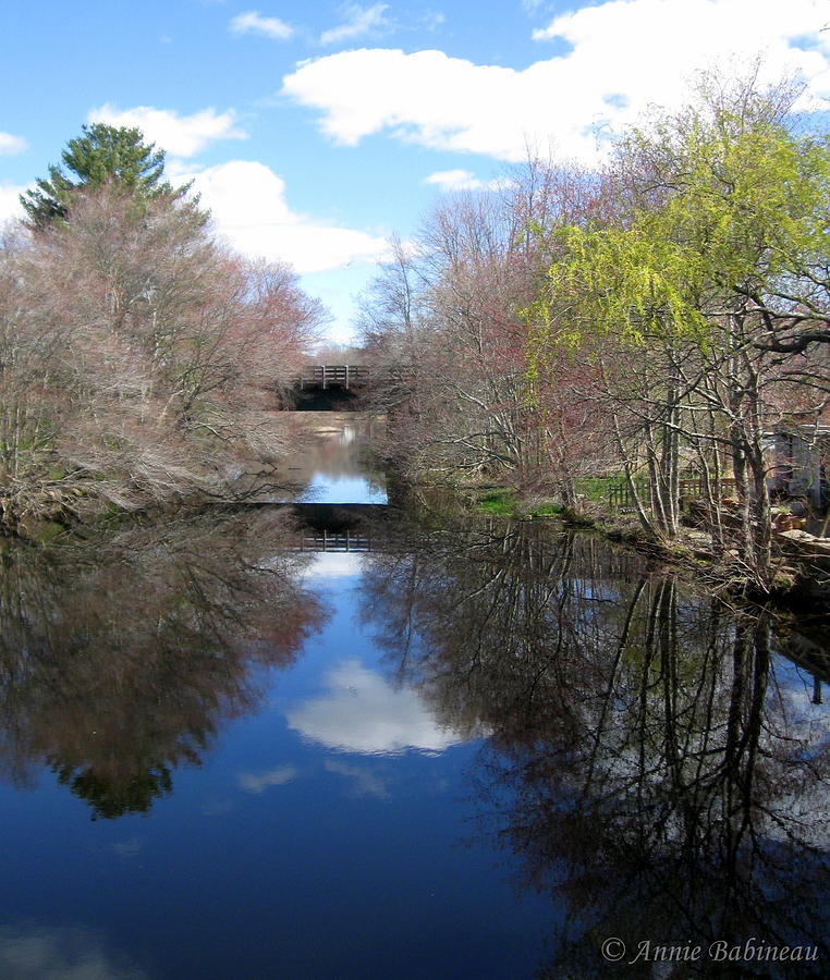 Spring Reflection Photograph by Annie Babineau - Fine Art America