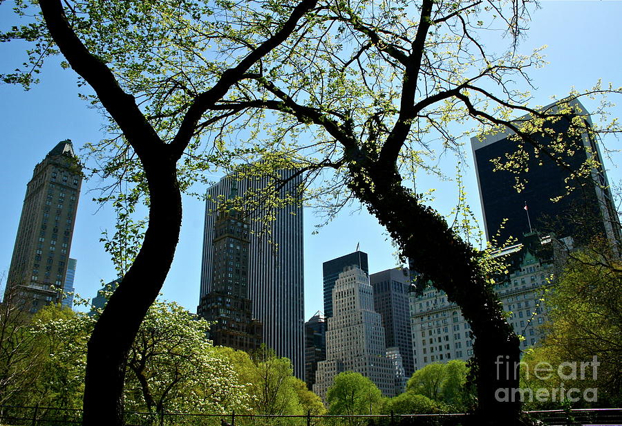 Spring view Photograph by Gregory Dragan - Fine Art America