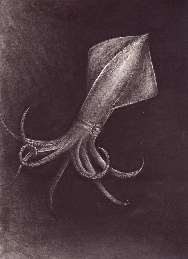 Squid Drawing