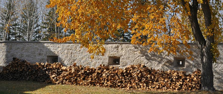 Stacking Wood Photograph by Daryl Macintyre | Fine Art America