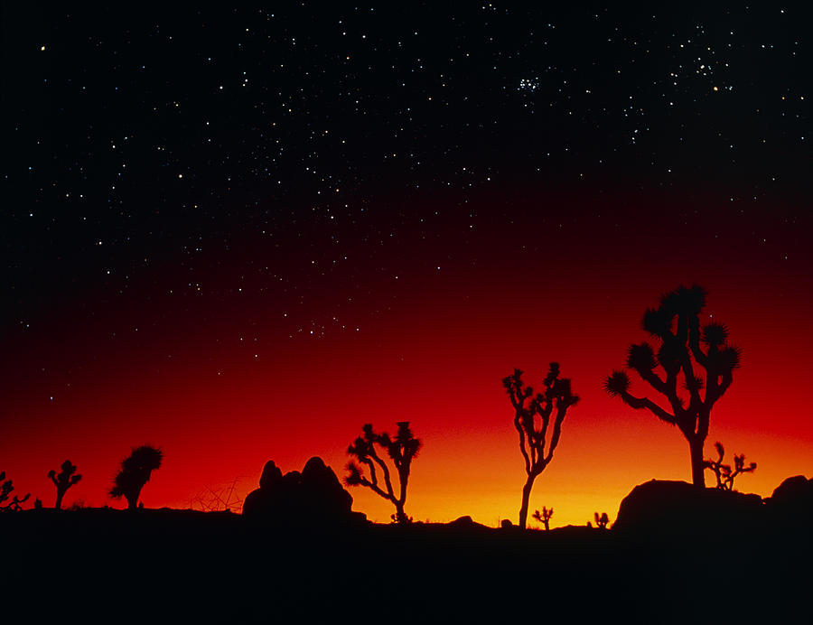 Starry Sky At Sunset Seen From Joshua Tree Park Photograph by David ...
