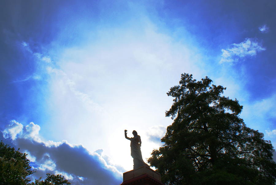 Statuesque Photograph by David Fields - Fine Art America