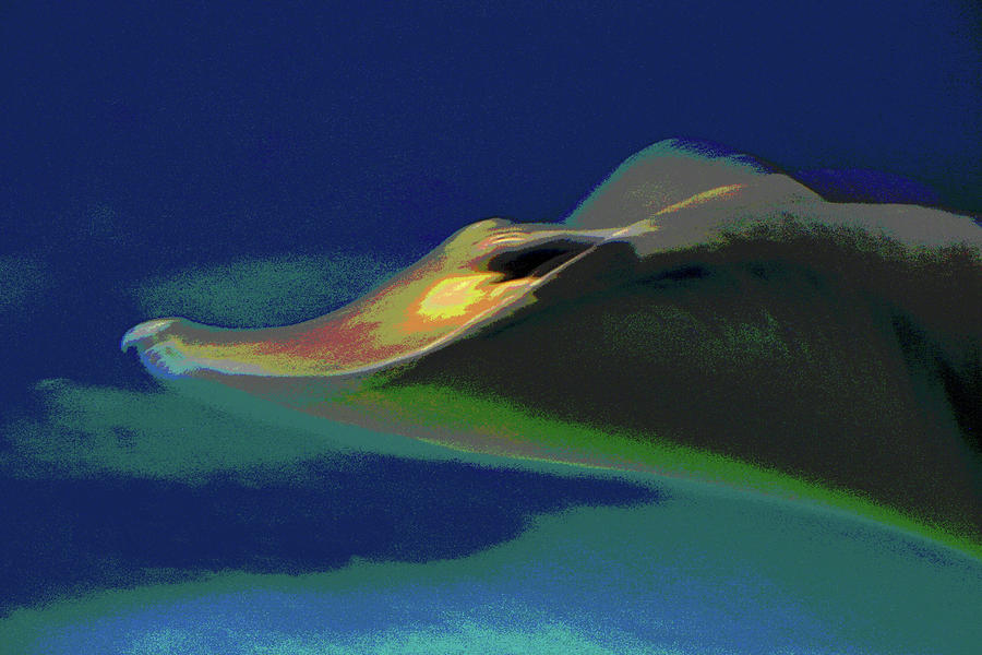 Stealth like creature Digital Art by Les Mayers - Fine Art America