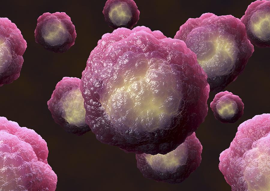 Stem Cells, Artwork Photograph by David Mack - Fine Art America