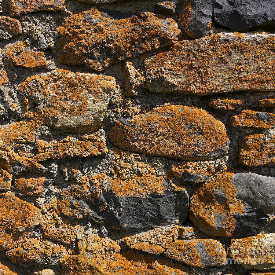 Stone wall Photograph by Bernard Jaubert - Pixels