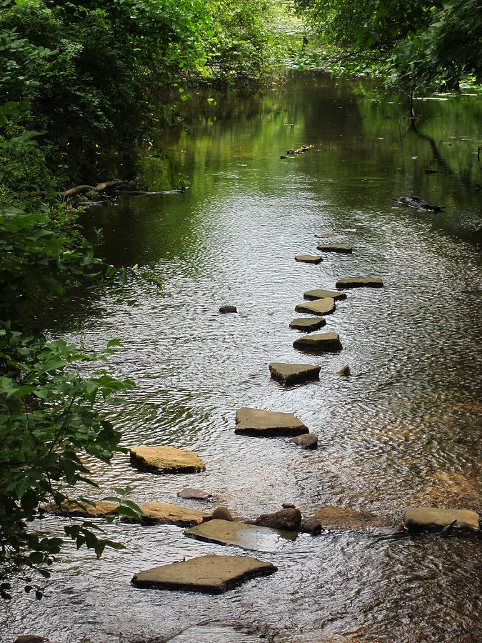 Stones in a River Photograph by Guy Ricketts - Fine Art America