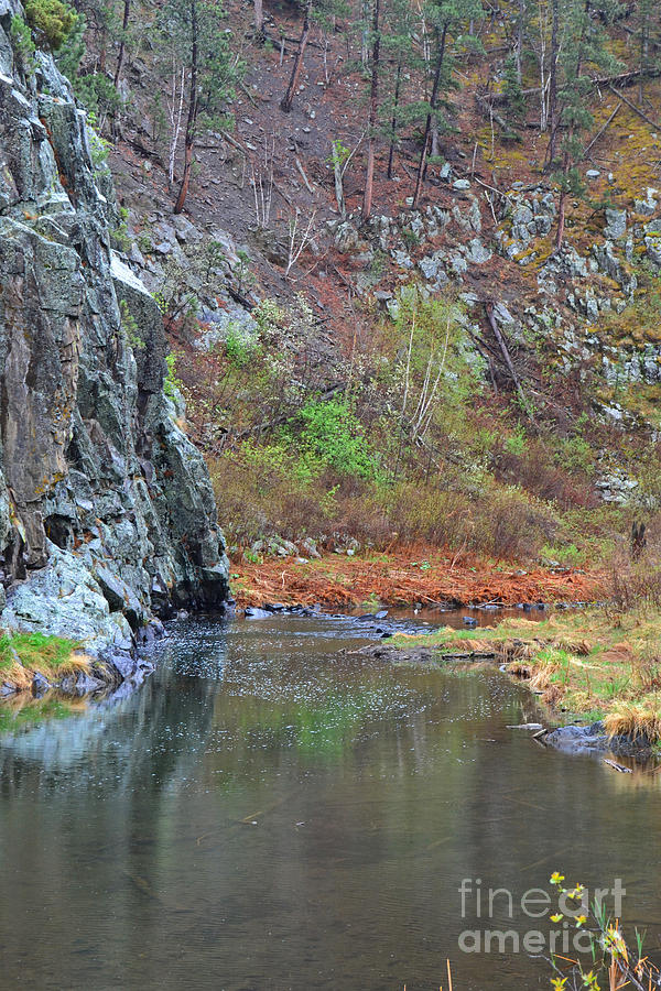 Stony Backdrop Photograph by Frances Powell - Fine Art America