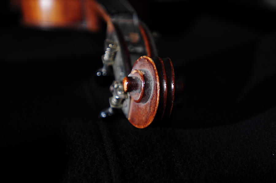 Strad Scroll Photograph by Dale Davis - Pixels