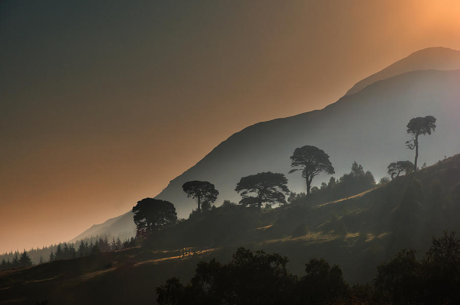 Strange light Photograph by Douglas Ritchie | Fine Art America