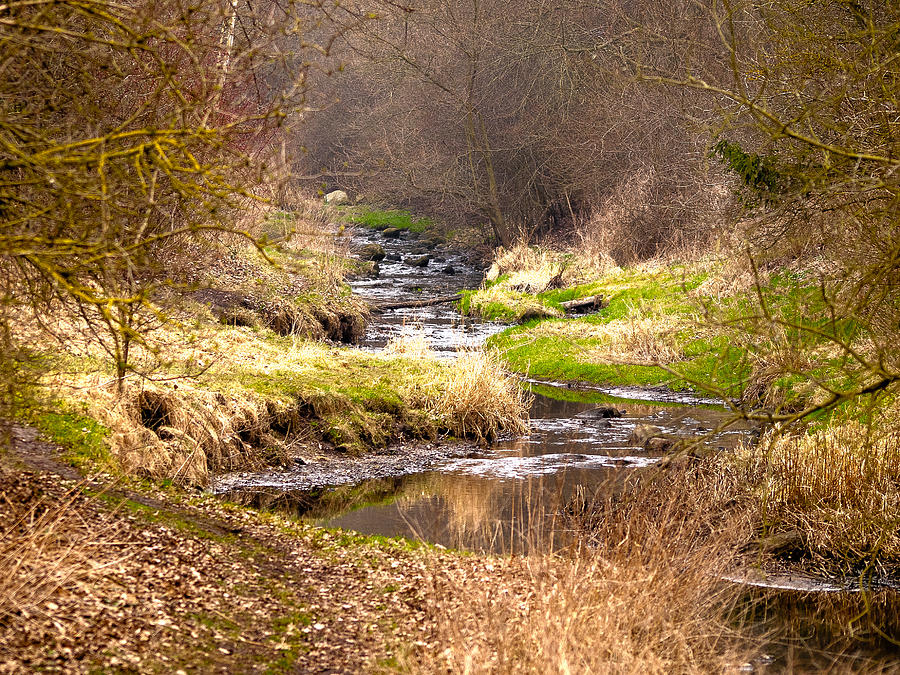 Stream Photograph by Asger Jorgensen - Fine Art America