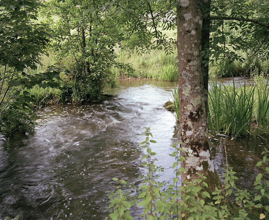 Stream by Science Photo Library