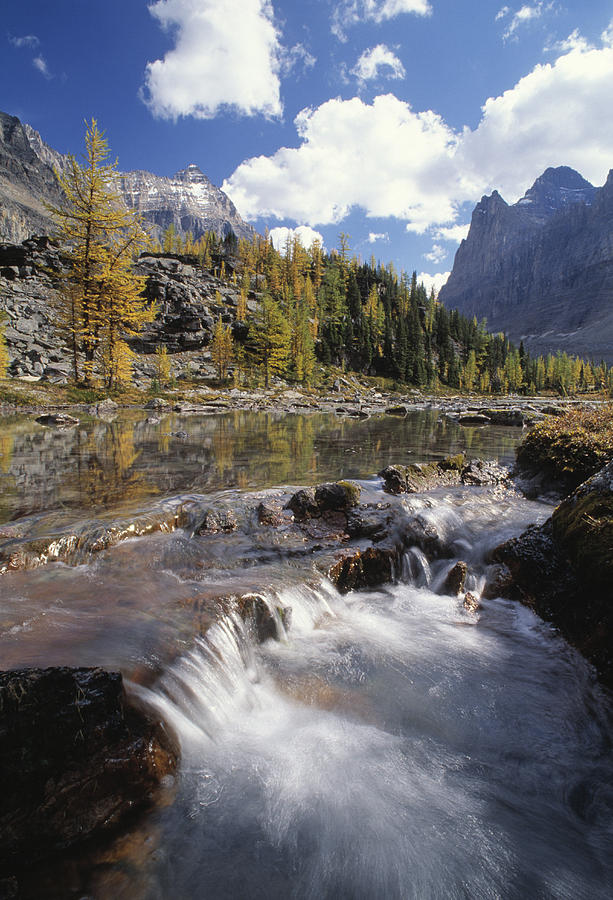 Stream Rapids by Science Photo Library