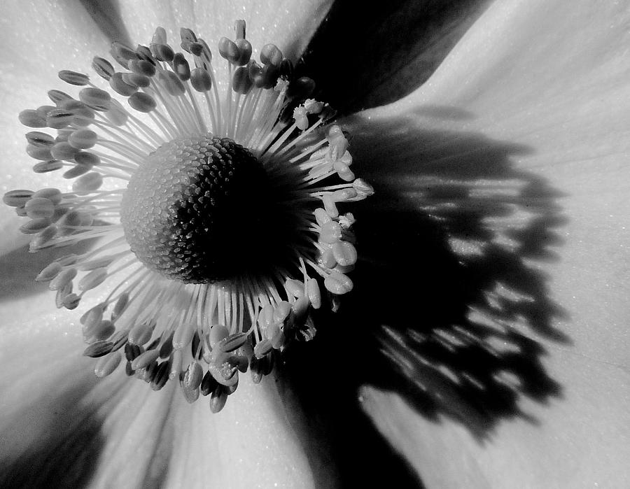 Structures III Digital Art by Scott Miller - Fine Art America