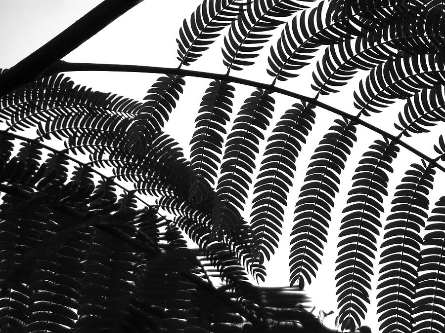 Structures Digital Art by Scott Miller - Fine Art America