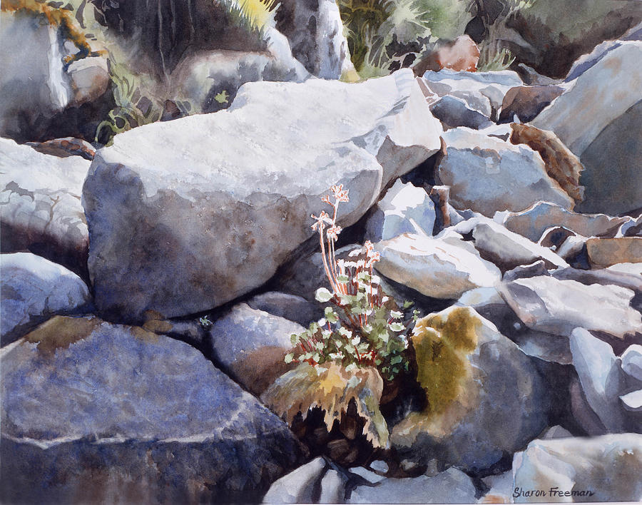 Summer Streambed Painting by Sharon Freeman - Fine Art America
