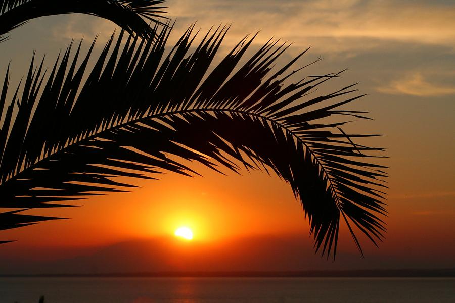 Sun Down Photograph by Marcel Schauer - Fine Art America