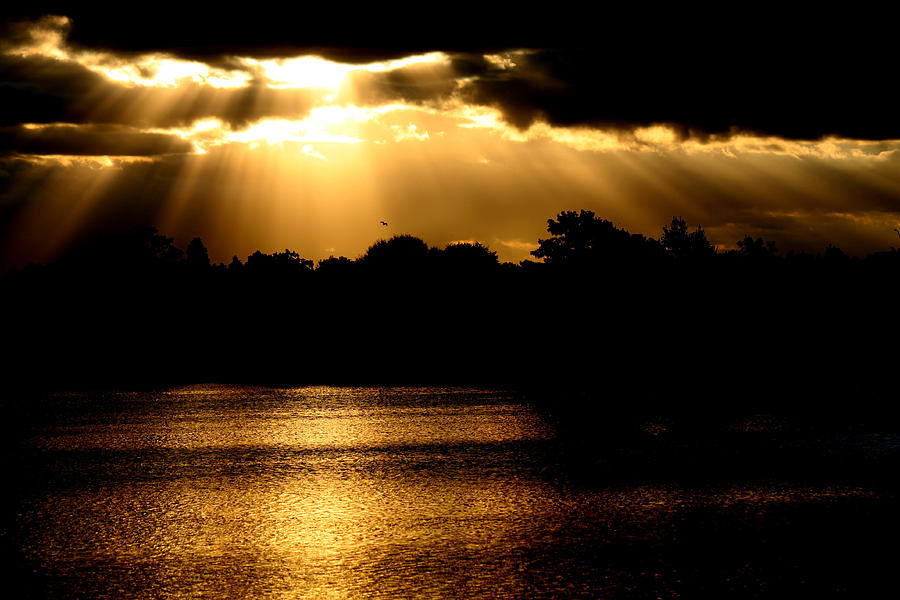 Sun-rays Photograph by Frank Selvage - Fine Art America