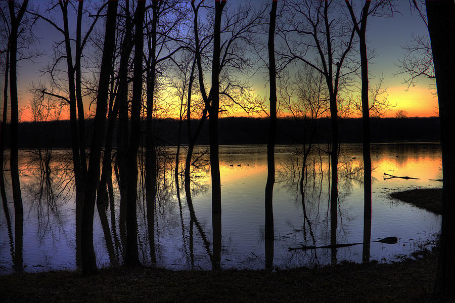 Sundown Mallards Photograph by Mark Six - Fine Art America