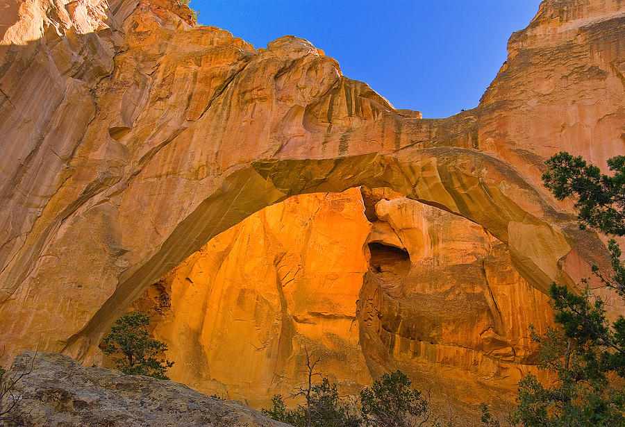 Sunlit Arch Photograph by Andy Richards - Fine Art America
