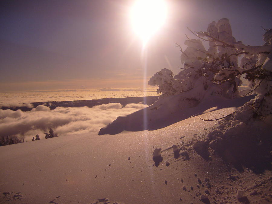 Sunny Snow Photograph by Jeffrey Gilpin - Fine Art America