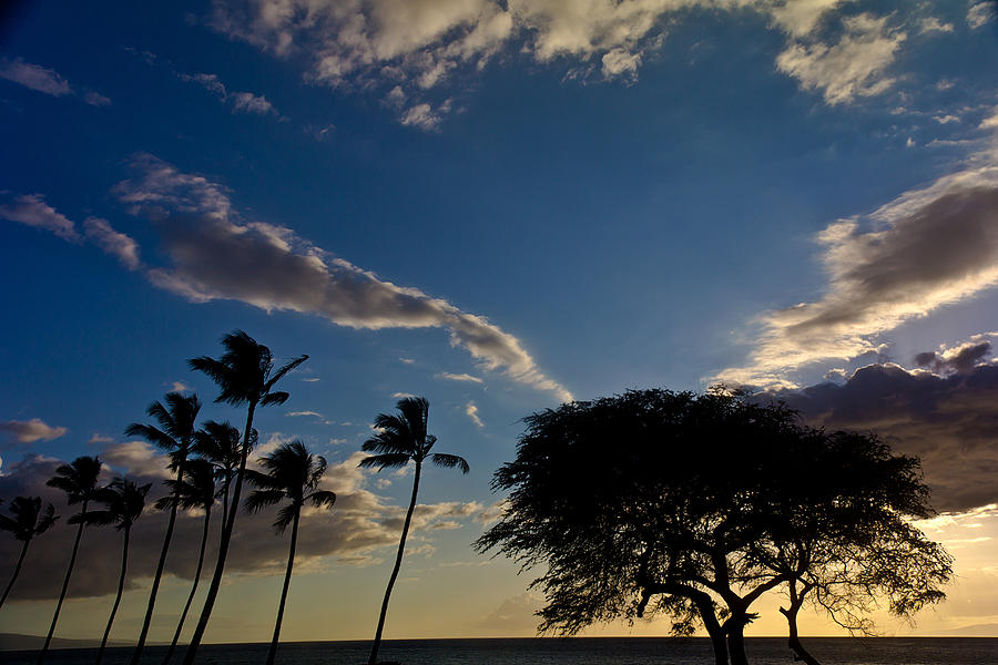 Sunset Backlight Photograph by Daniel Winters - Fine Art America