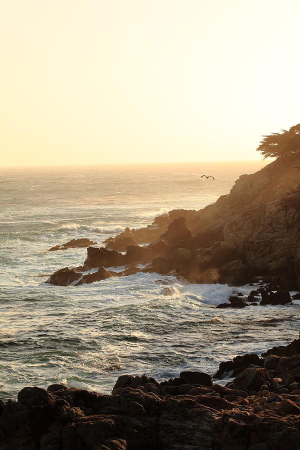 Sunset Cliff Photograph by Max Chen - Fine Art America