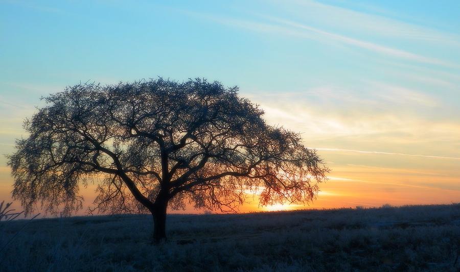 Sunset down yonder Photograph by Deaa Keeley - Fine Art America
