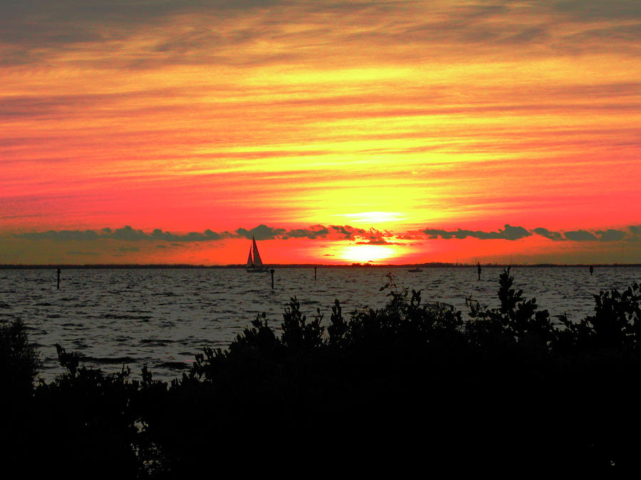 Sunset Peace River Photograph by Francesco Roncone
