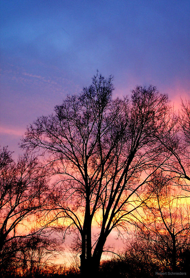 Sunset Tree Photograph by Robert Schnieders - Fine Art America
