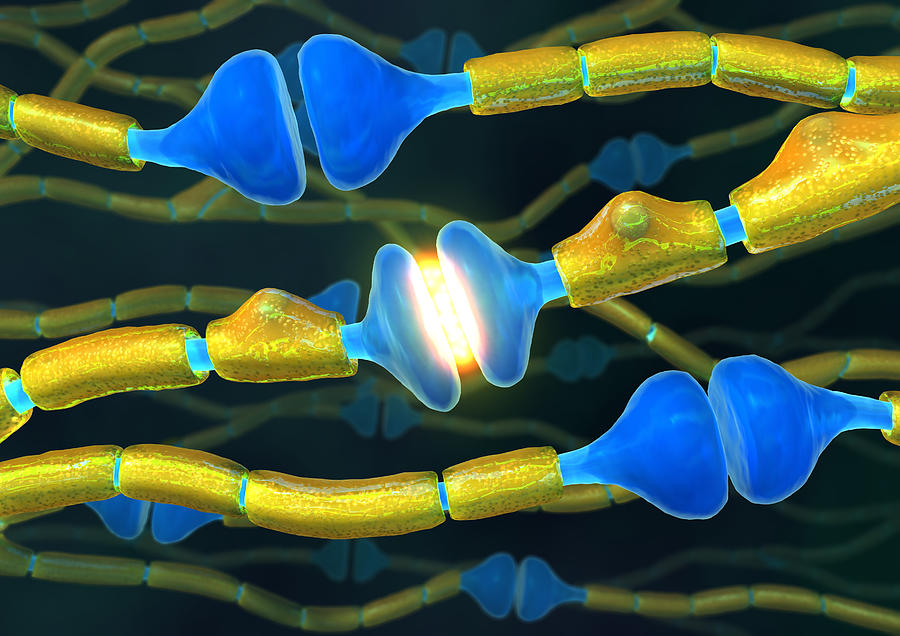 Synapses, Computer Artwork Photograph by David Mack - Fine Art America