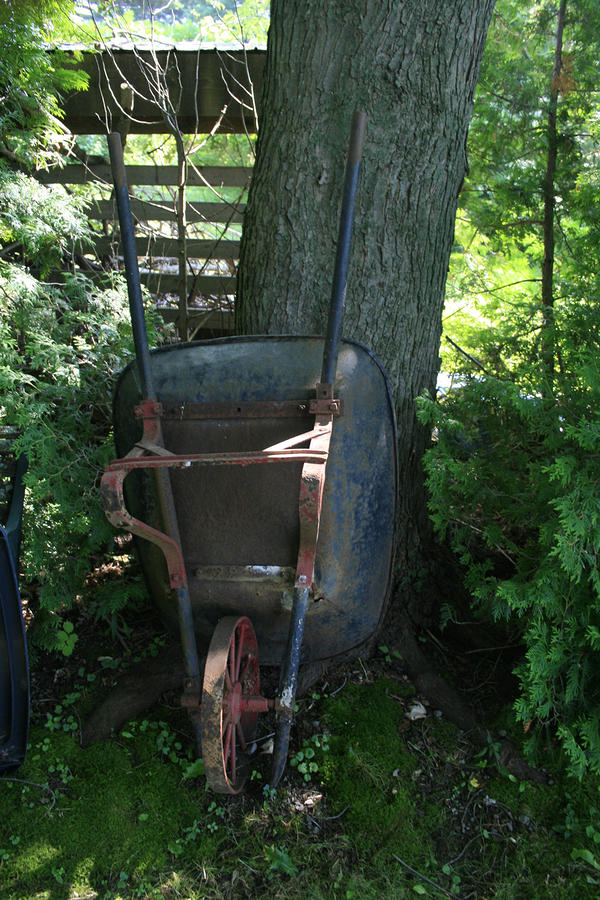Taking a Rest Photograph by Alan Rutherford - Fine Art America