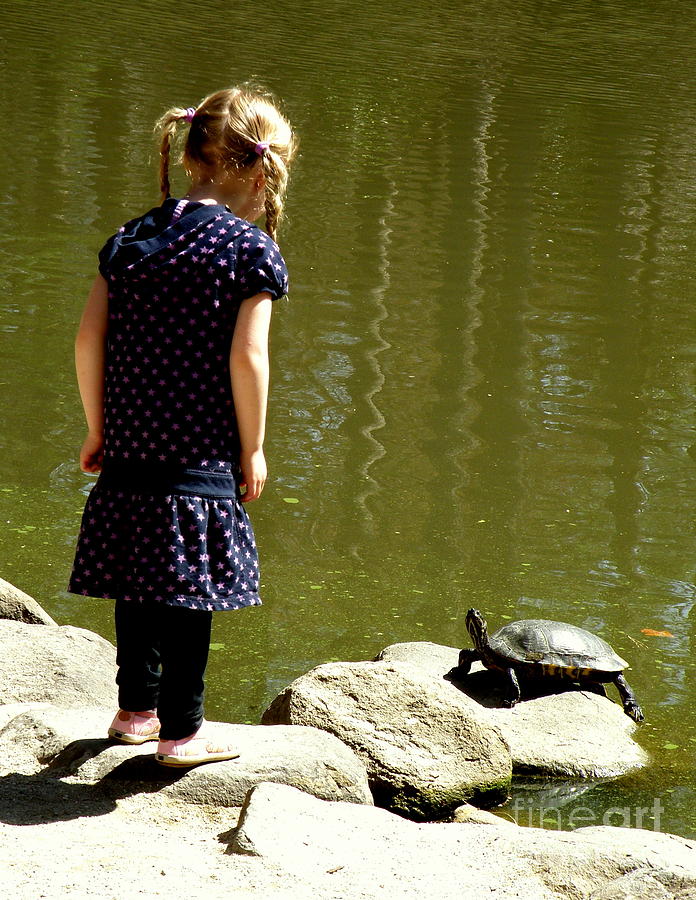 Talking to the Turtle Photograph by Lainie Wrightson - Fine Art America