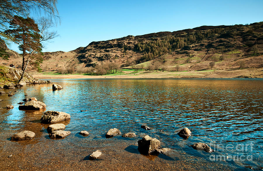 Tarn In Spring Photograph by John D Hare