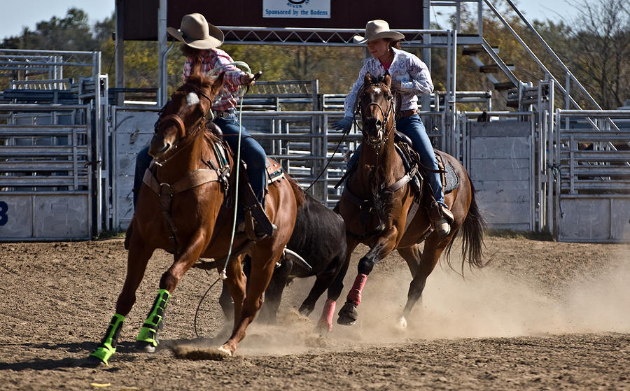 Team work Photograph by Cheryl Cencich - Fine Art America