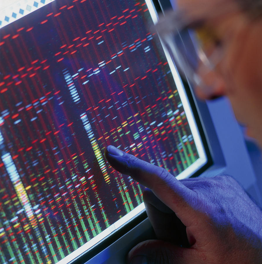 Technician Analyses A Gene Sequence On A Computer Photograph by Tek ...