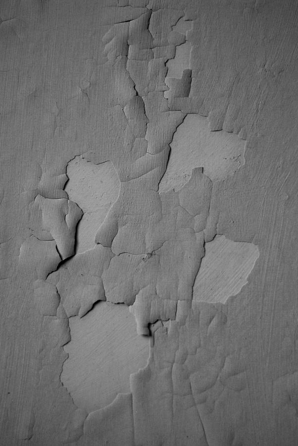 Texture Study 11 Photograph by Eamon Forslund - Fine Art America