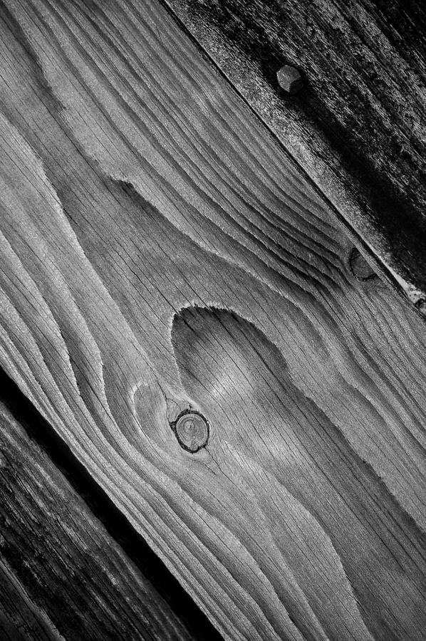 Texture Study 8 Photograph by Eamon Forslund | Pixels