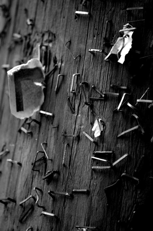 Texture Study 9 Photograph by Eamon Forslund - Fine Art America