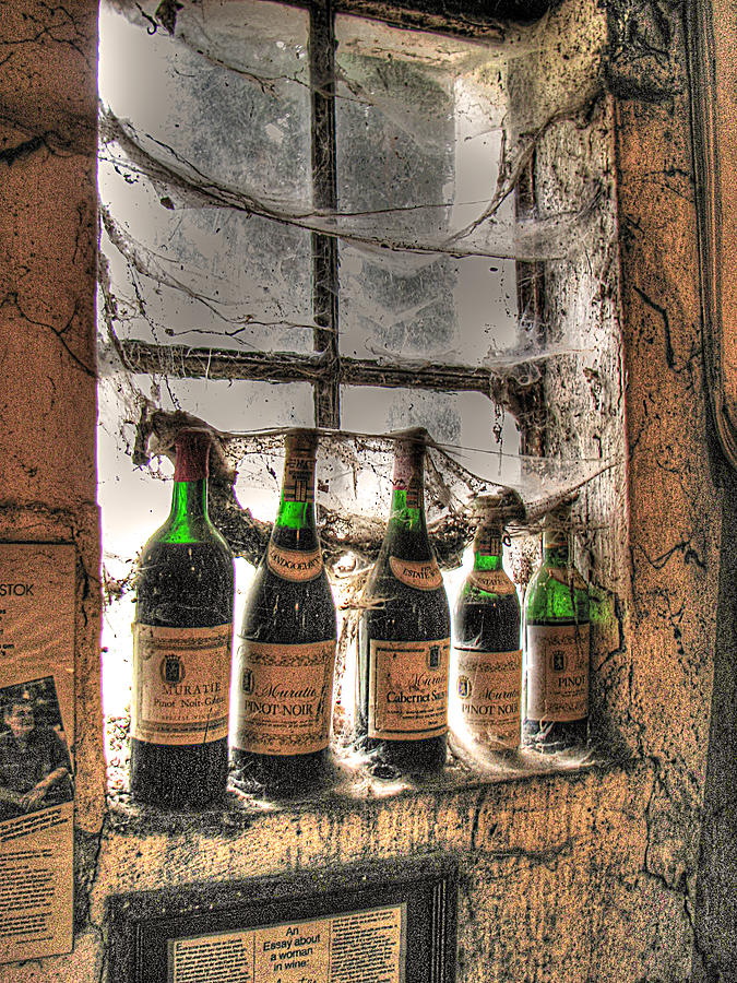 The Cellar Window Photograph by William Fields - Pixels