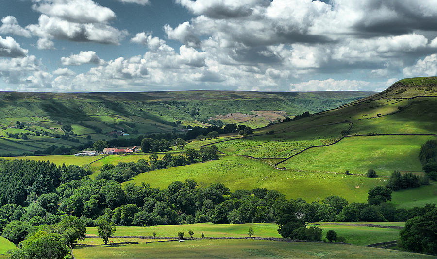 The Dale Photograph by Robert Gipson - Fine Art America